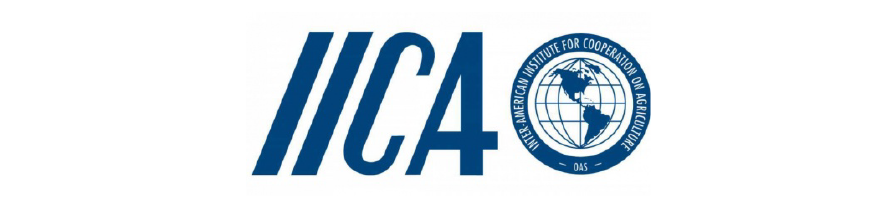 IICA logo - Fundación Microfinanzas BBVA