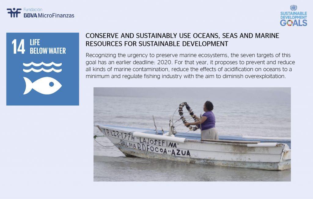 ODS 14: Vida submarina