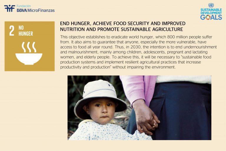 SDG 2: Zero Hunger around the world. End hunger.